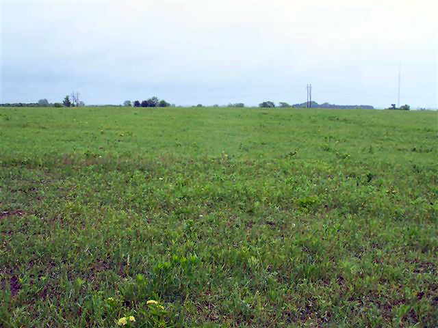 Mildred (Robertson) Haney Real Estate Auction