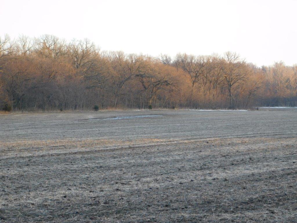 Cline Realty & Auction